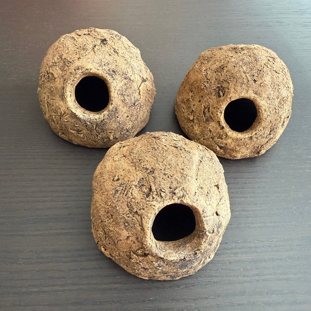 Coconut Caves - Great for cave spawning Dwarf Cichlids - apistogramma ...