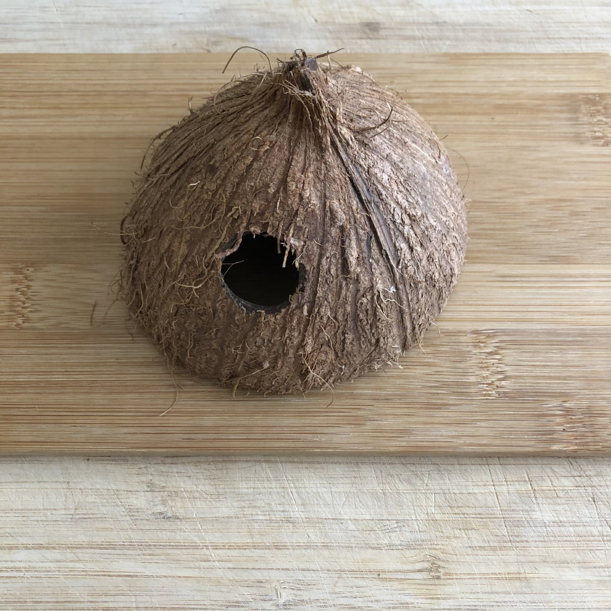 Coconut Caves - Great for cave spawning Dwarf Cichlids - apistogramma ...
